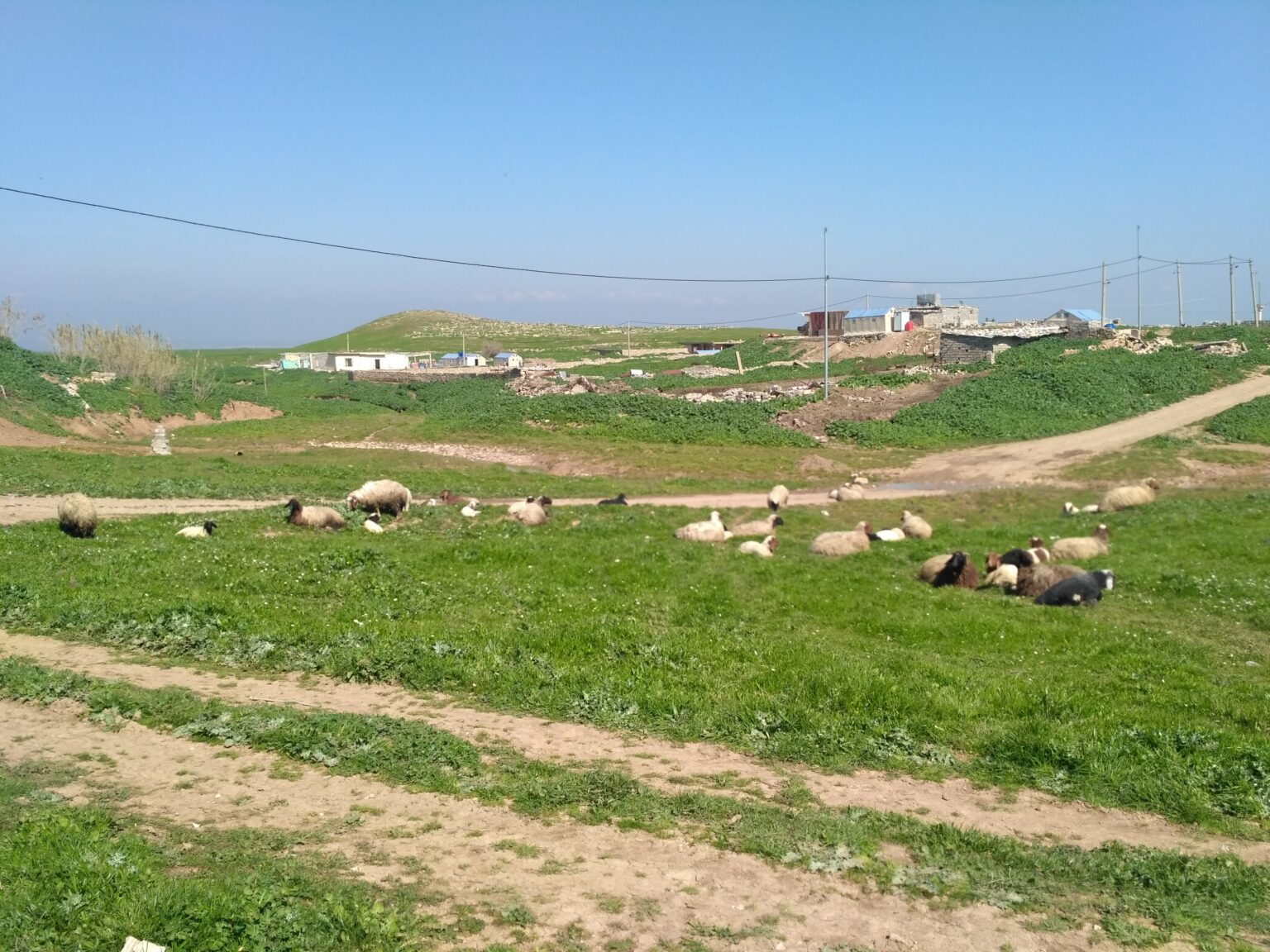 500 shelters to UNHCR in Iraq | Better Shelter